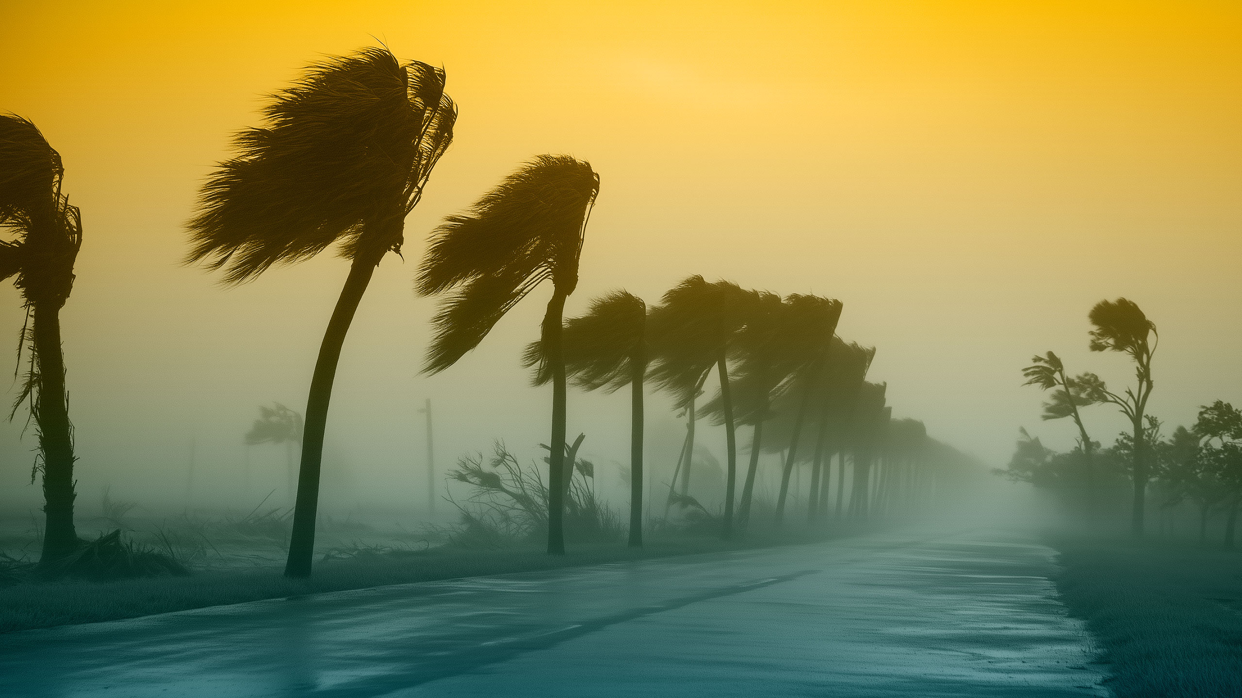 Hurricane Season Energy Strategies - Payless Power