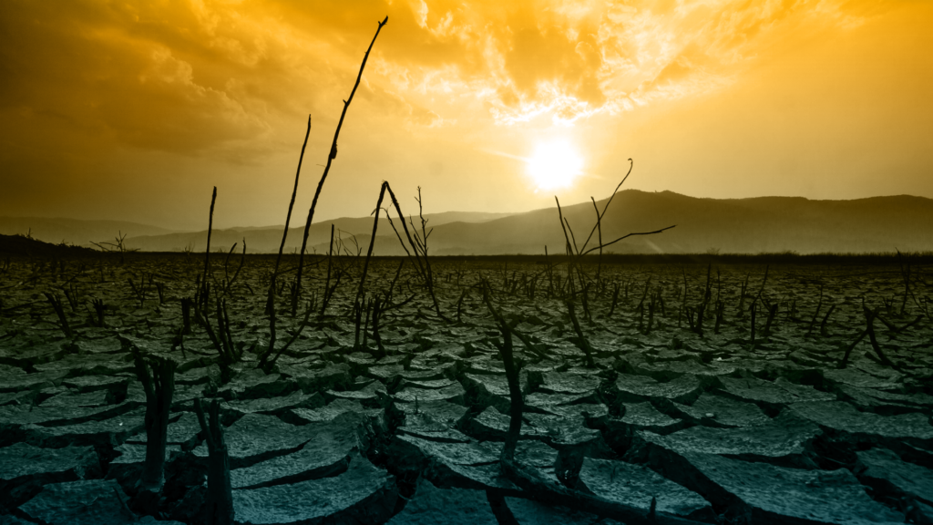 Water-Saving Techniques During Drought Conditions - Payless Power